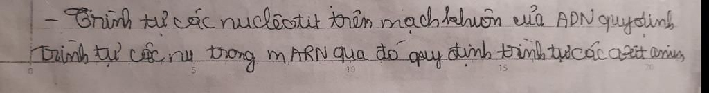 Các thành phần tham gia tổng hợp chuỗi axit amin: A. tARN, mARN, rARN B ...