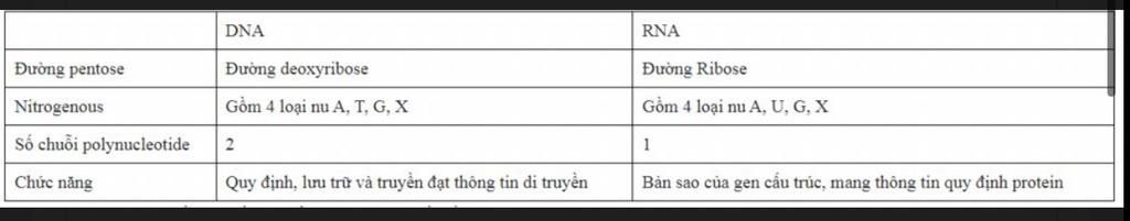 phân tử dna và rna khác nhau ở đặc điểm nào câu hỏi 5249009 - hoidap247.com