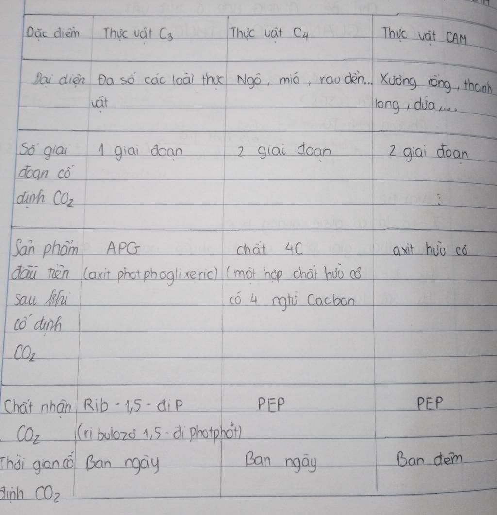 so sánh sự khác nhau ở các nhóm thực vật C3 C4 và cam câu hỏi 5260914 ...