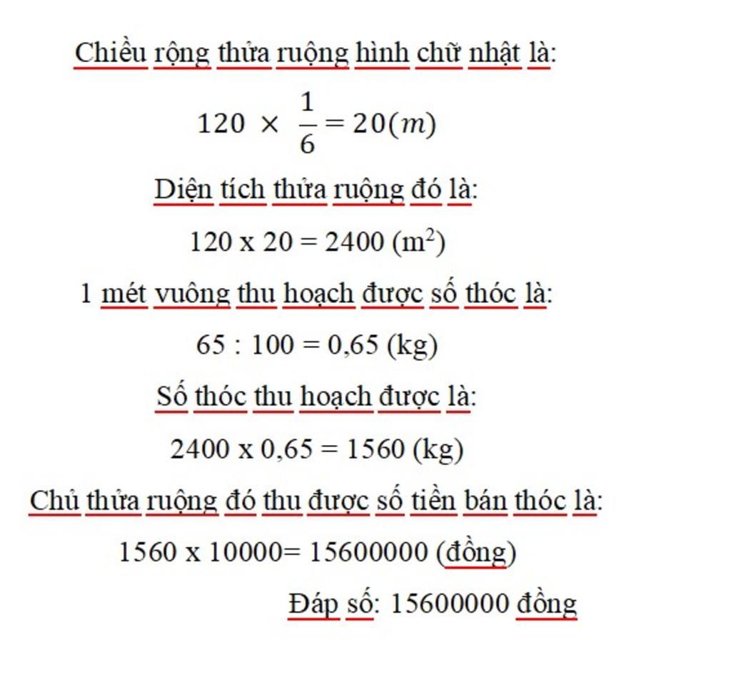 M t Th a Ru ng H nh Ch Nh t C Chi u D i 120m chi u R ng B ng 1 6