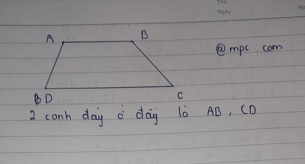 Cho hình thang ABCD có AD//CD, thì hai cạnh đáy của nó là: câu hỏi ...