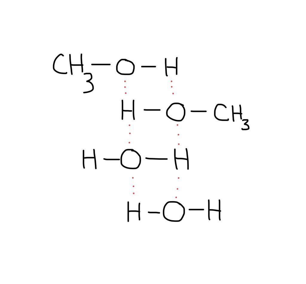 Trong dung dịch methanol CH3OH có bao nhiêu loại liên kết hydrogen được ...