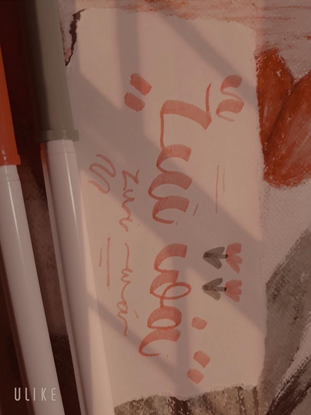 Calli : Zui wá N/L : Tại sao cá không bị chết đuối khi ở dưới nước ...