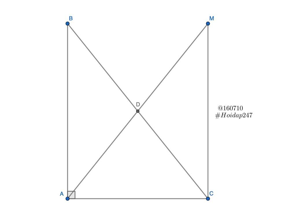Chứng minh: trong 1 tgiac vuông đường trung tuyến ứng vs cạnh huyền thì ...