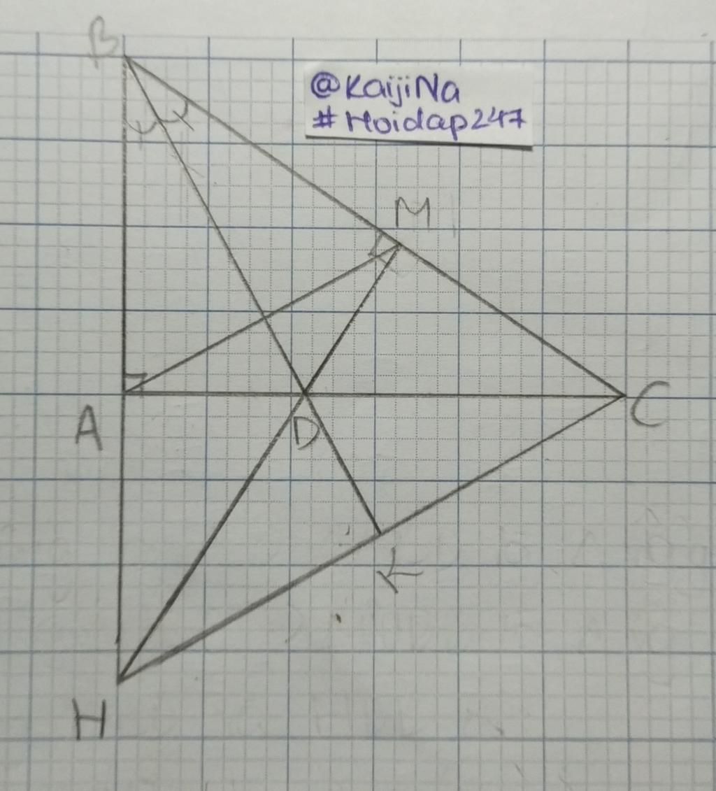 Cho tgiac ABC vuông ở A, BD là tia phân giác của góc B. Kẻ DM vuông góc ...