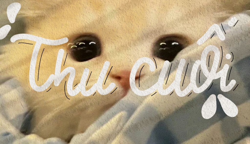 Hand : Thu cuối Nl : Ước câu hỏi 7063967 - hoidap247.com