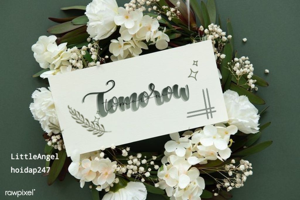 Hand/mono/calli: Tomorow NL: Đợi đi ! câu hỏi 7118017 - hoidap247.com