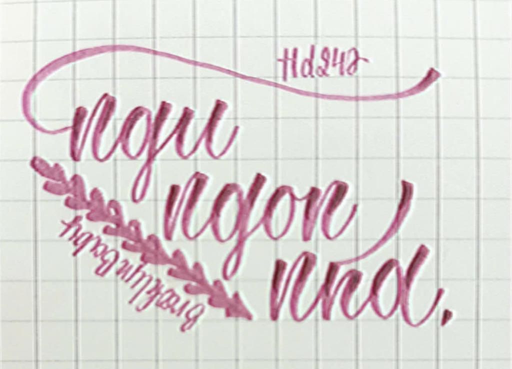 Calligraphy: ngu ngon nha. -- Ngl: Chuc minh ngu ngon di r minh tang ...