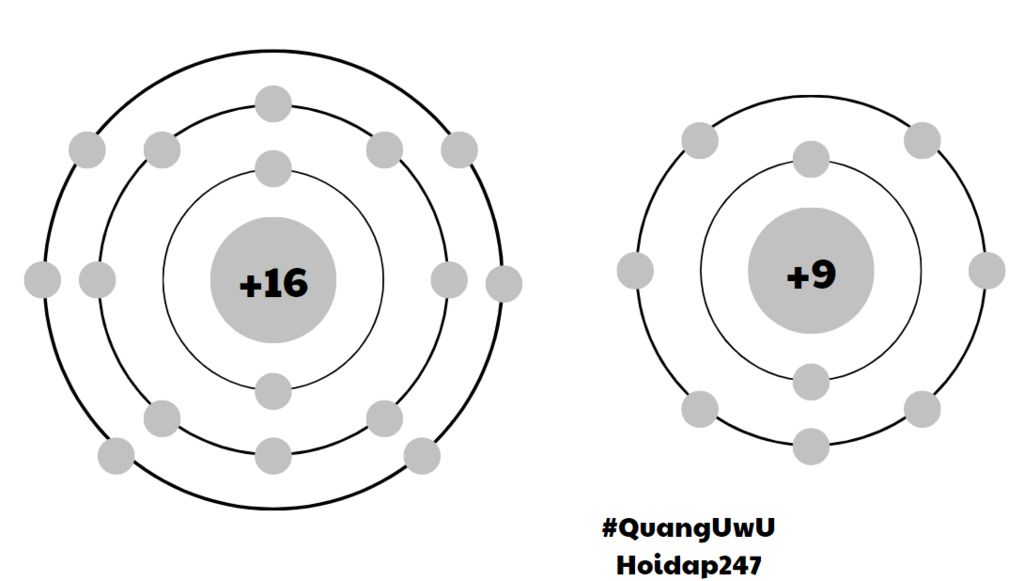 Vẽ sơ đồ theo mô hình Rutherford-Bohr để biểu diễn các nguyên tử sau: a ...