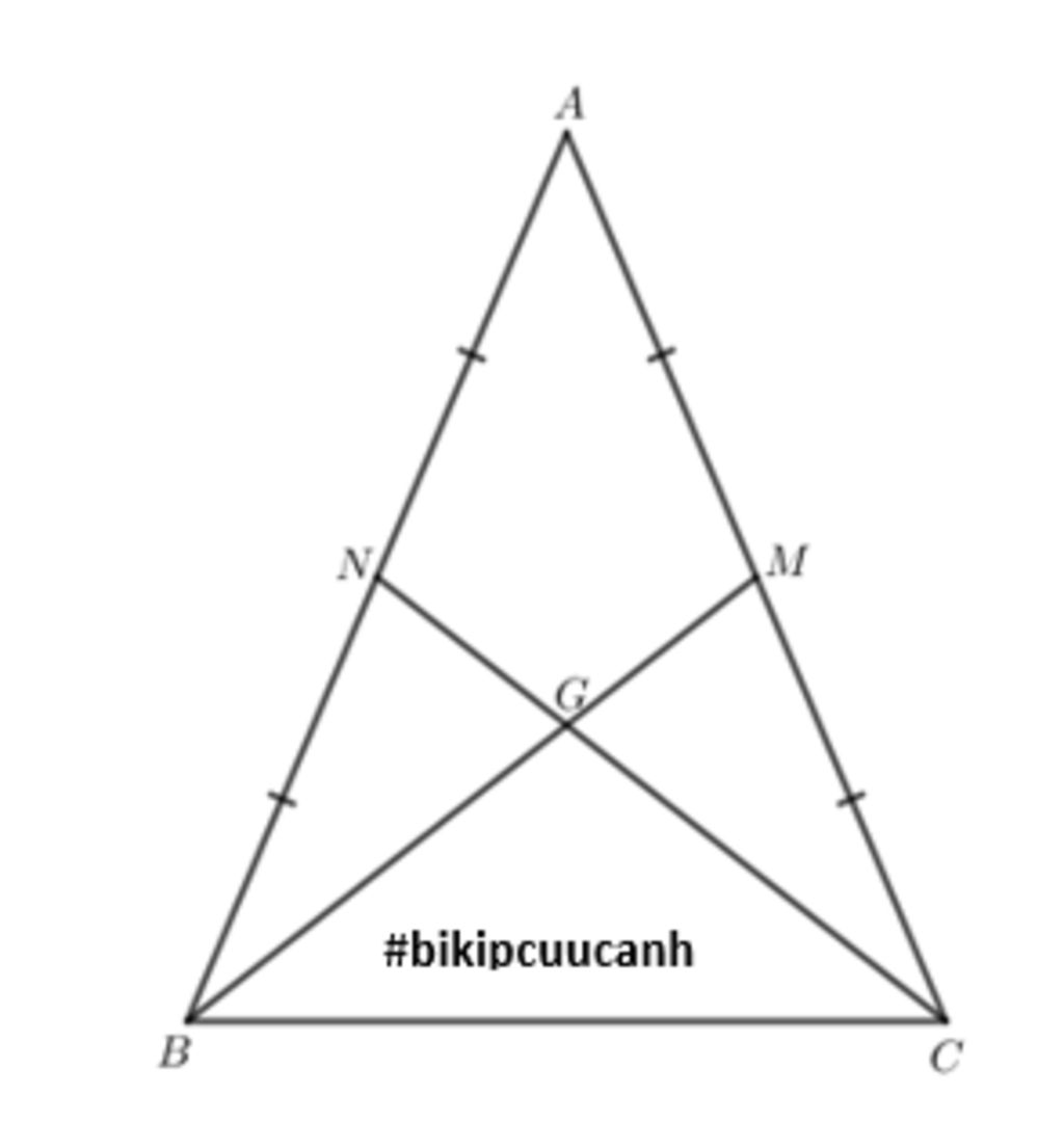 cho tam giác ABC cân A có đg trung tuyến BM,CN cắt nhau tại G.Chứng minh tam giác ABM = tam giác ...