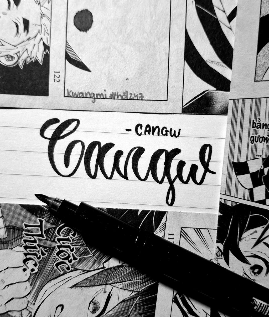 Gothic/Mono/Type/Hand/Thư pháp/Calligraphy `:` Cangw NL `:` Box Toán ...