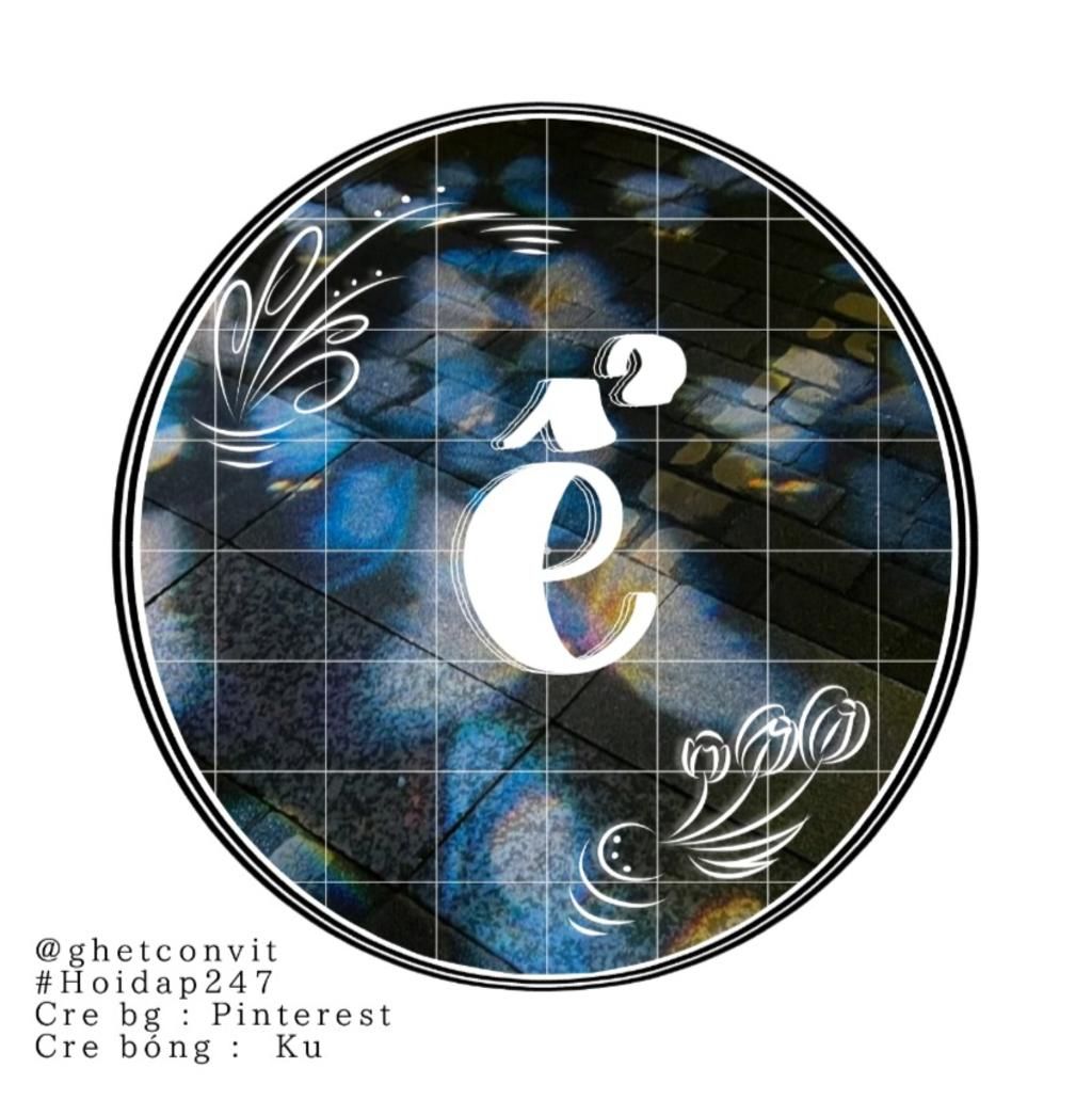 Calli: ể N/L: nay thấy t dzai wá câu hỏi 8017007 - hoidap247.com