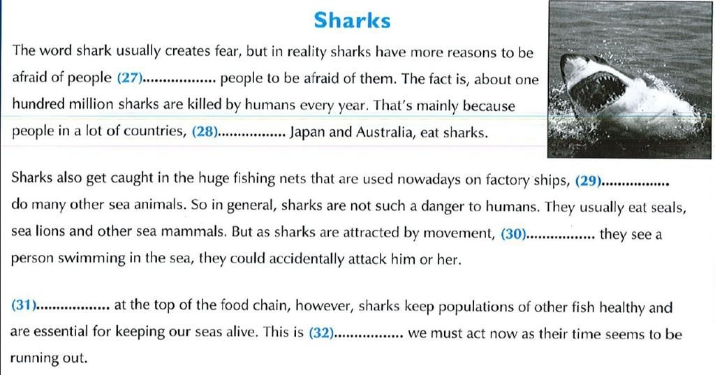 Sharks The word shark usually creates fear, but in reality sharks have ...