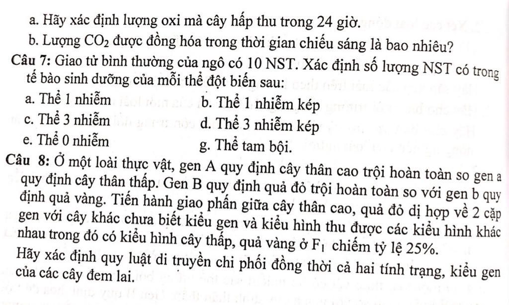 Ở một loài thực vật gen A quy định cây thân cao trội hoàn toàn so với ...
