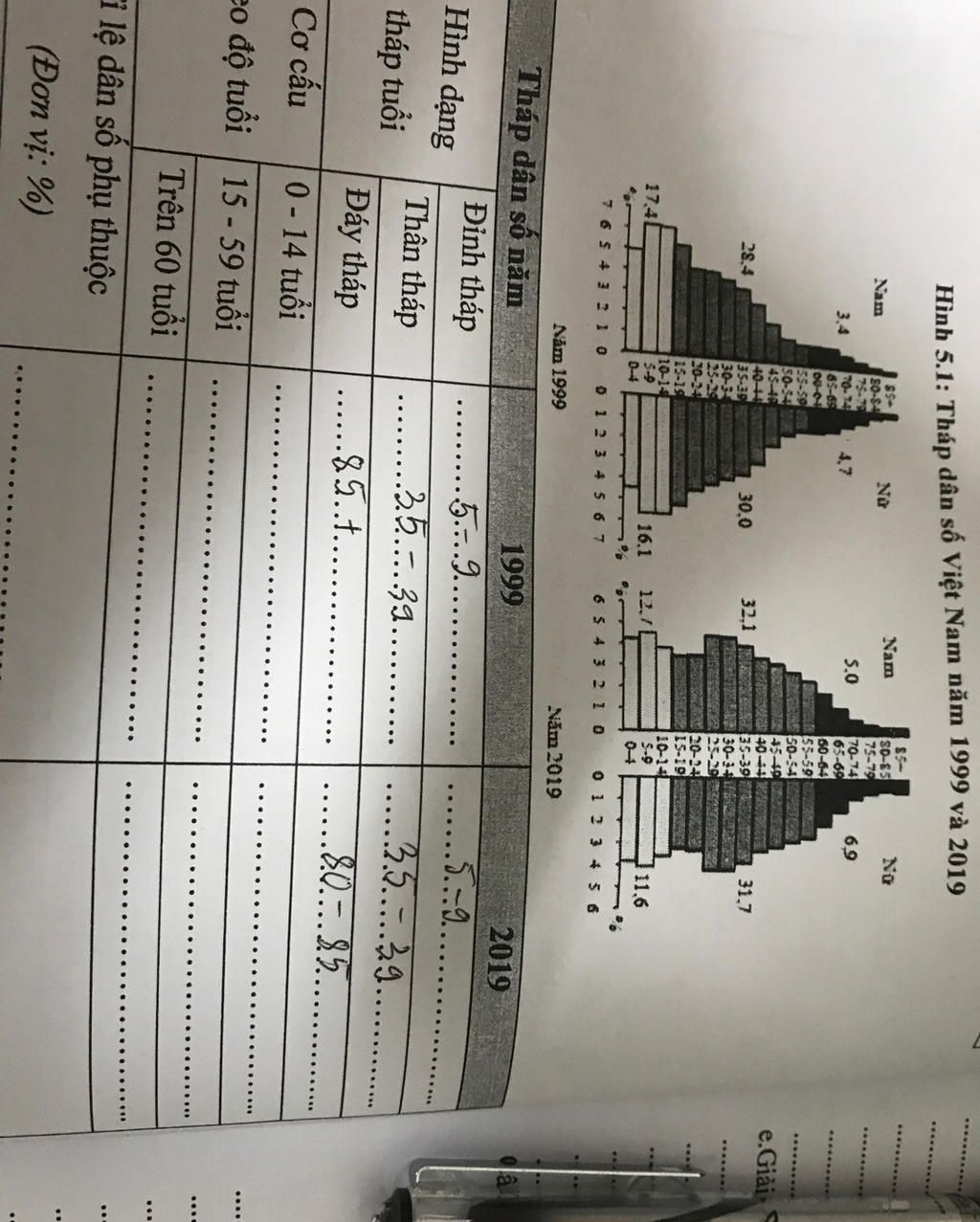 17,4 fr Hình dạng tháp tuổi Hình 5.1: Tháp dân số Việt Nam năm 1999 và ...