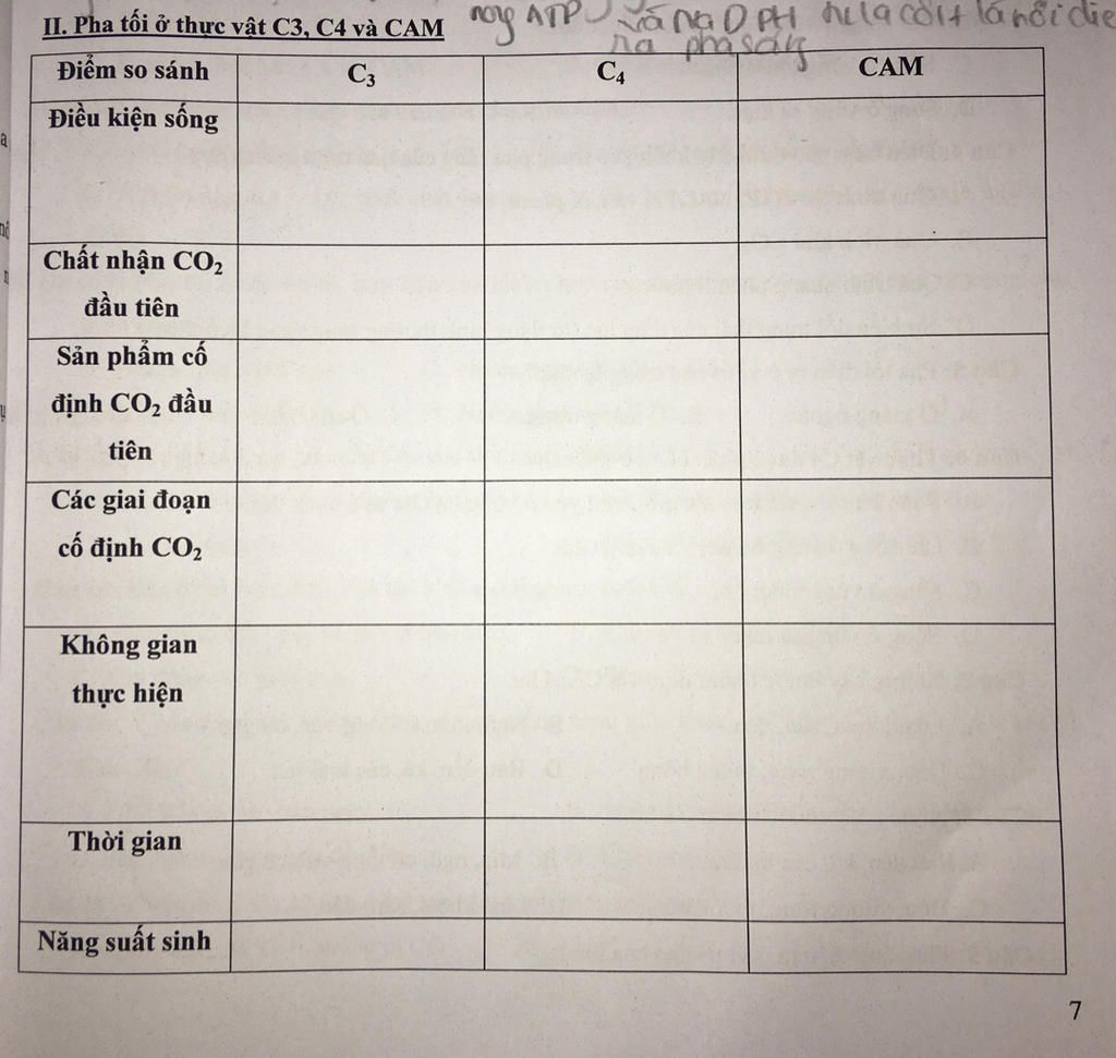 II. Pha tối ở thực vật C3, C4 và CAM “j ATP vàNGDPH Aila co14 là nỗi ...