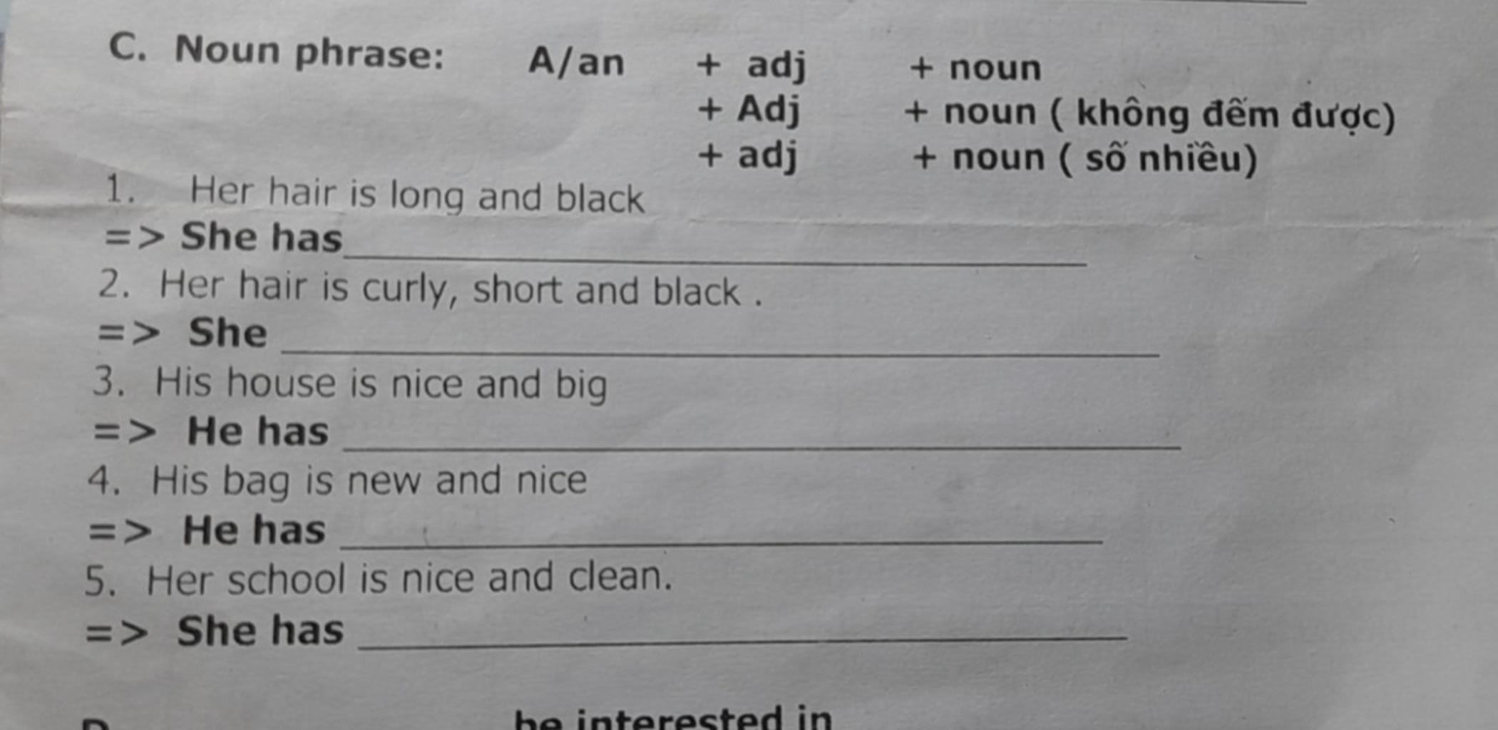 C. Noun phrase: 1. => She has A/an Her hair is long and black + adj ...