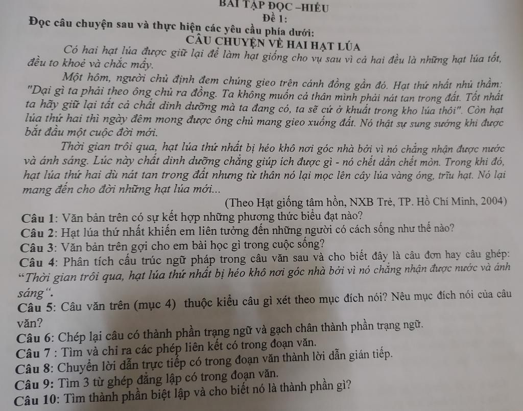 TẠP ĐỌC –HIẾU Đề 1: Đọc câu chuyện sau và thực hiện các yêu cầu phía ...