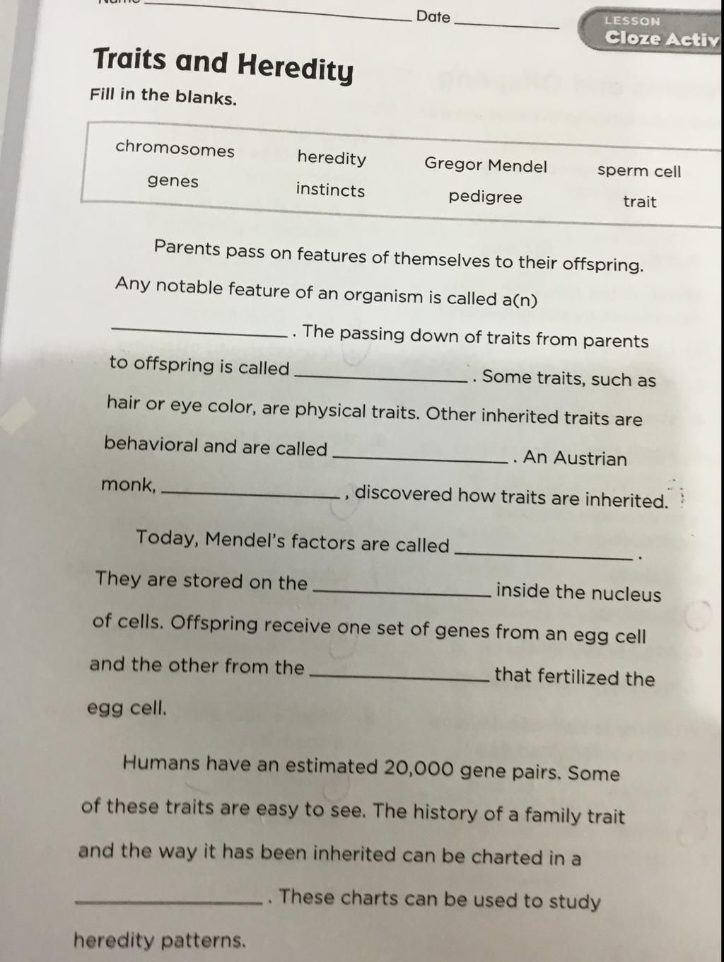 Traits and Heredity Fill in the blanks. chromosomes genes heredity ...