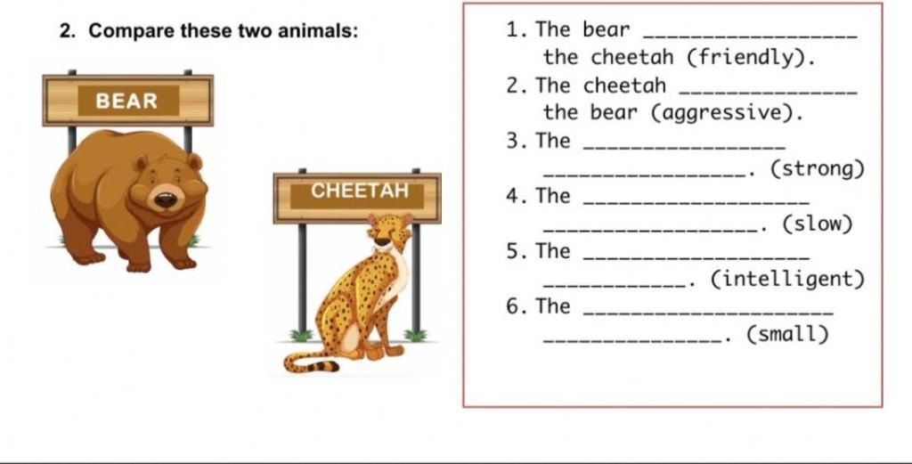 2. Compare these two animals: BEAR CHEETAH 1. The bear the cheetah ...