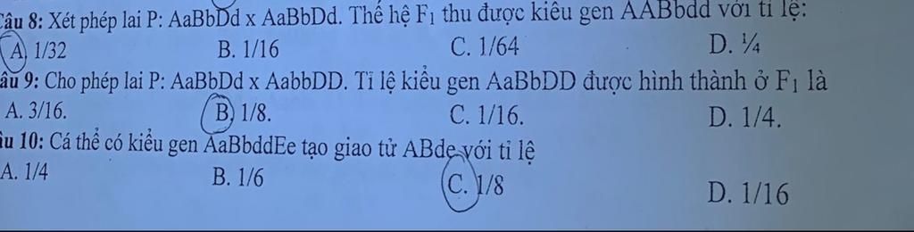 Tậu 8: Xét phép lai P: AaBbDd x AaBbDd. Thế hệ F1 thu được kiêu gen ...