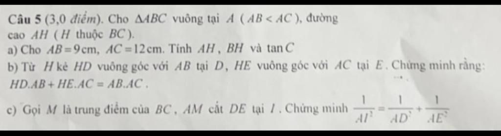 Câu 5 (3,0 điểm). Cho ABC vuông tại A (AB