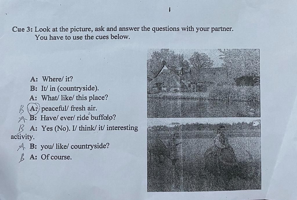 Cue 3: Look at the picture, ask and answer the questions with your ...