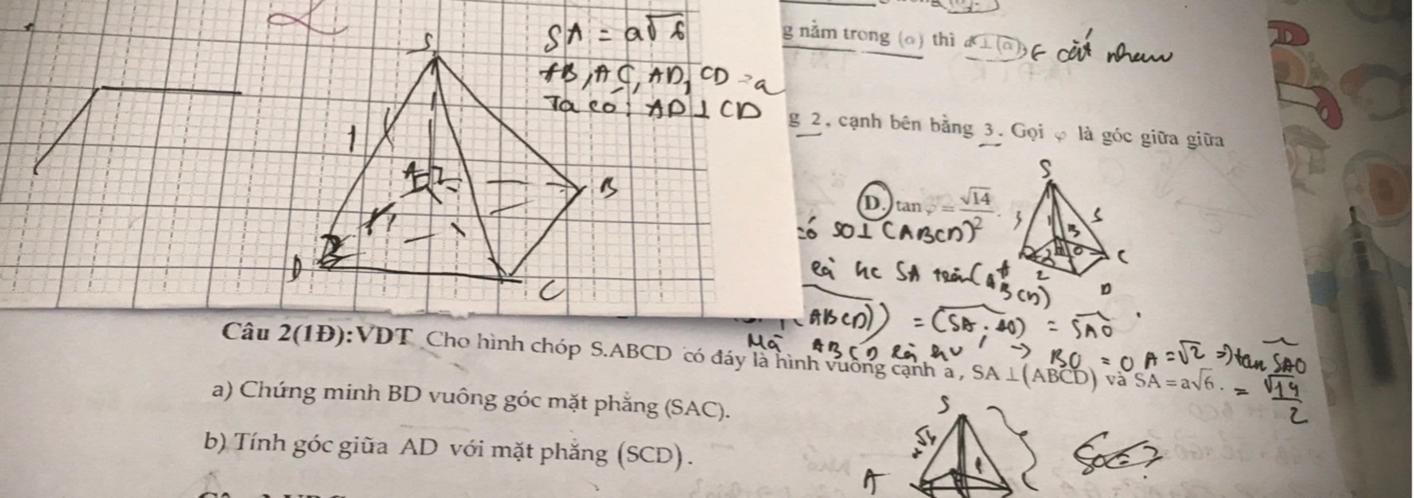 # SA = a√ s абя A #B, AC, AD, CD za Ta co: AP CD a) Chứng minh BD vuông ...