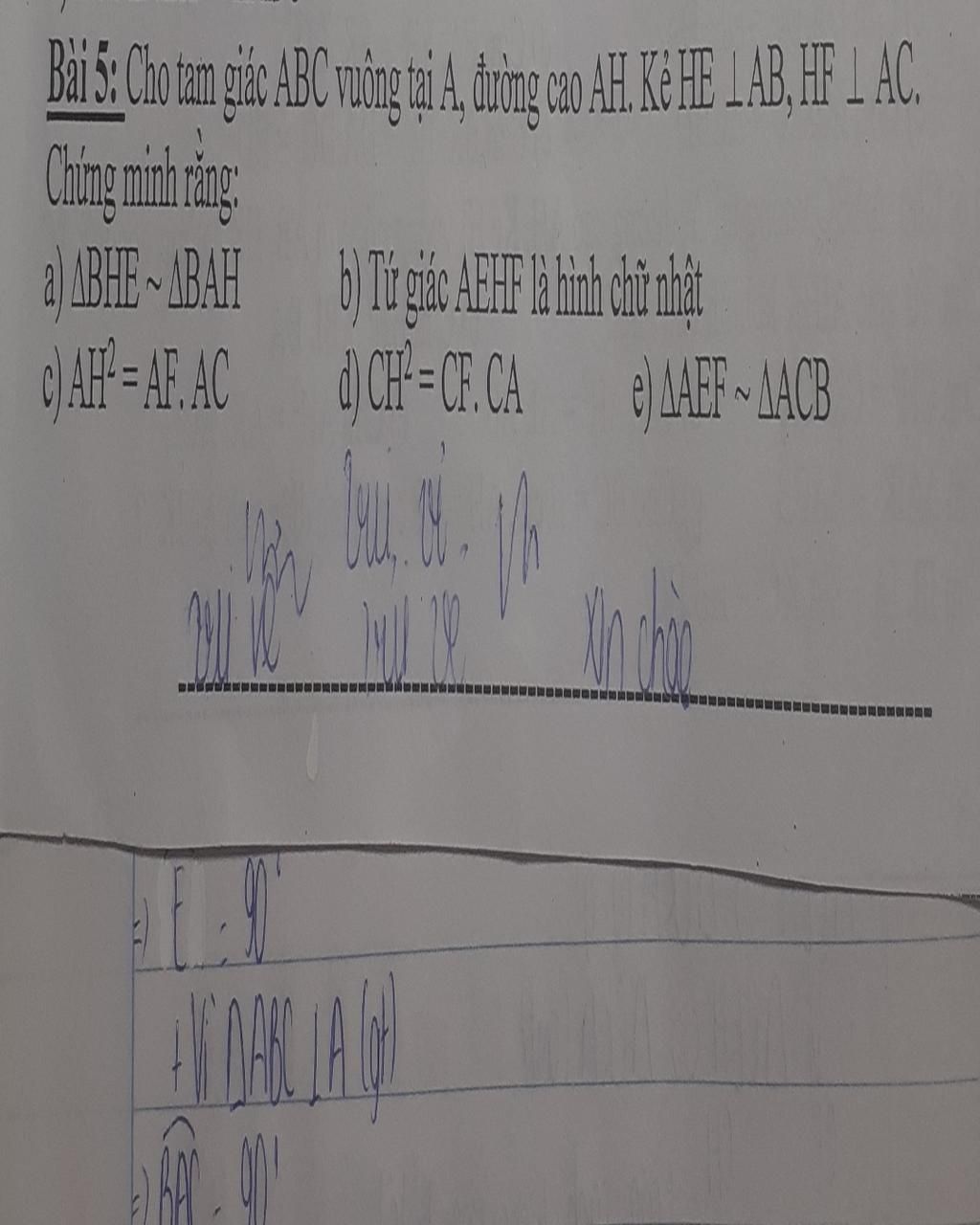 Mn giải giúp mik bài 5 với ạ. Mik cần gấp. Vẽ hình luôn nha mn Bài 5 ...