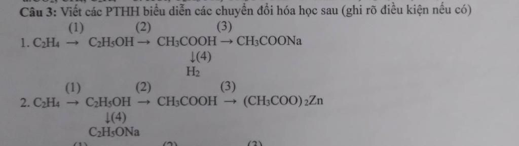 Câu 3: Viết các PTHH biểu diễn các chuyển đổi hóa học sau (ghi rõ điều ...