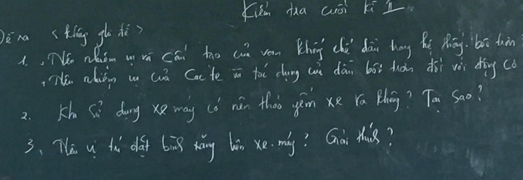 Kilm tra cui ki khoy che dai trang he thay . bus tran vụ của cac te và ...