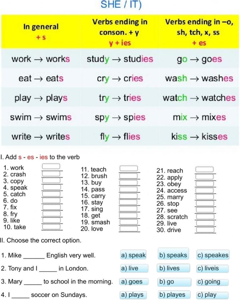 In general +S work → works eat → eats play →→ plays swim → swims write ...