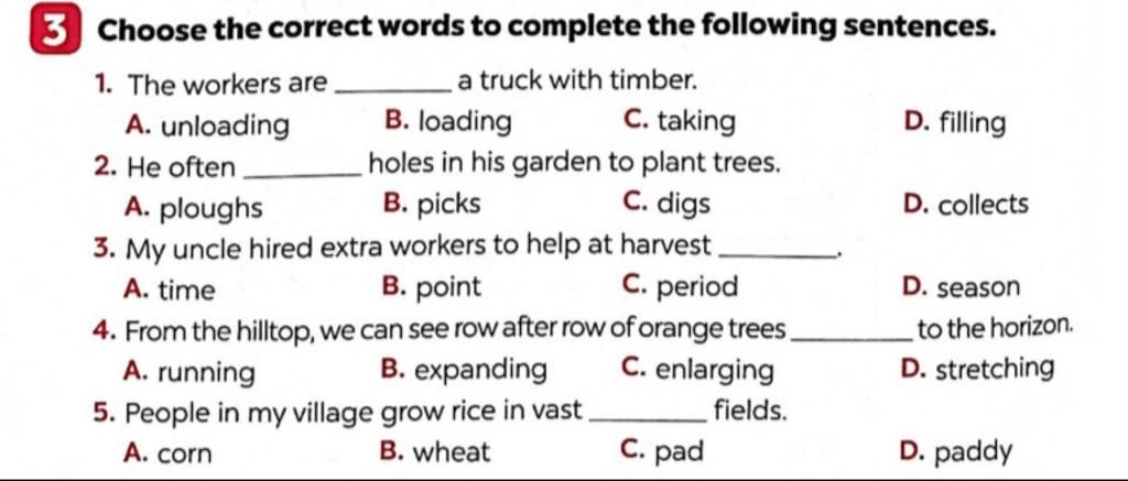 3 Choose the correct words to complete the following sentences. 1. The ...