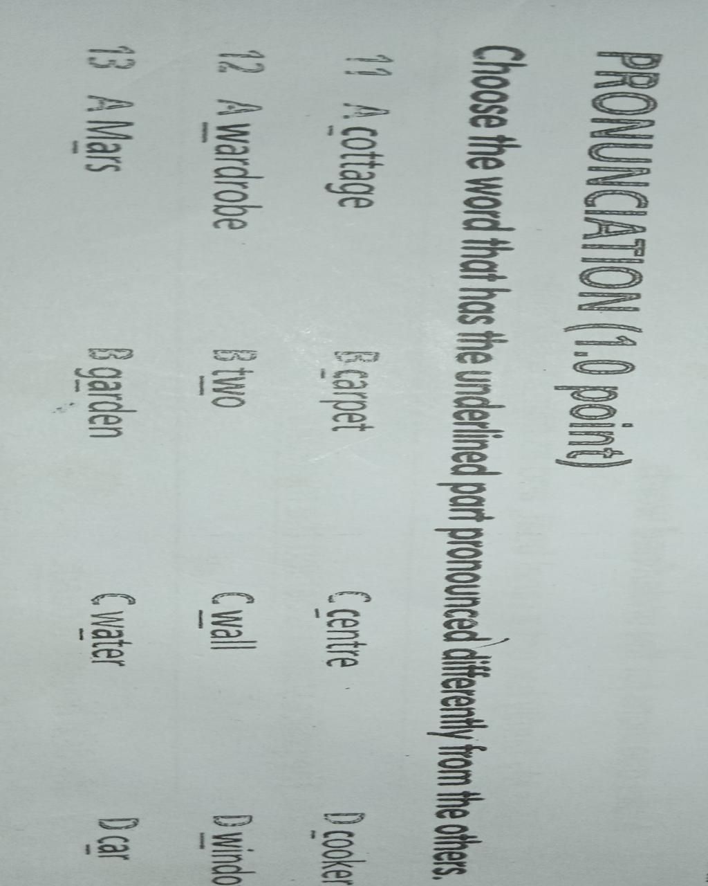 PRONUNCIATION (1.0 point) Choose the word that has the underlined part ...