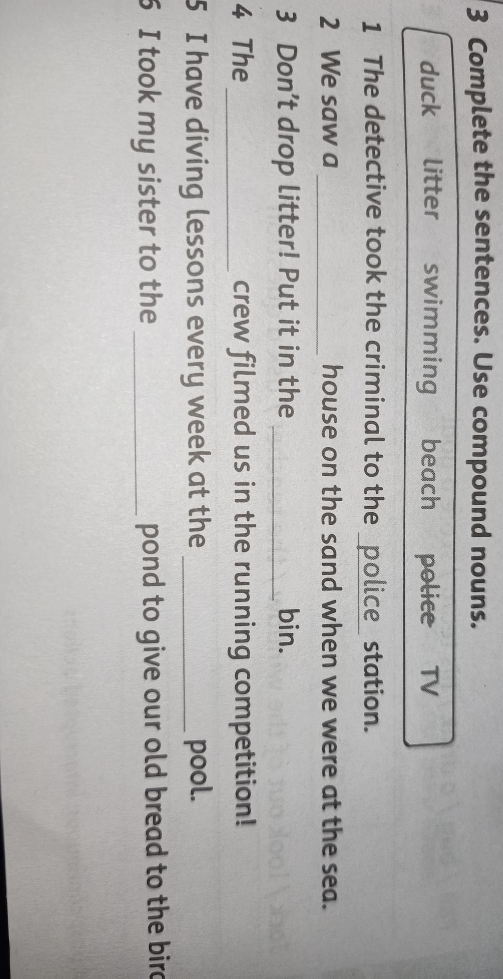 3 Complete the sentences. Use compound nouns. police TV duck litter ...