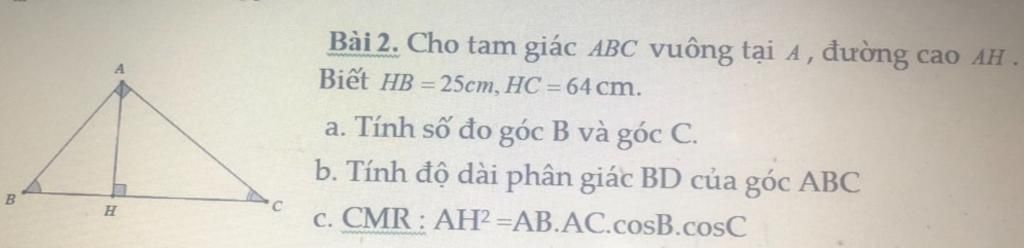 B H C Bài 2 Cho Tam Giác Abc Vuông Tại A đường Cao Ah Biết Hb 25cm