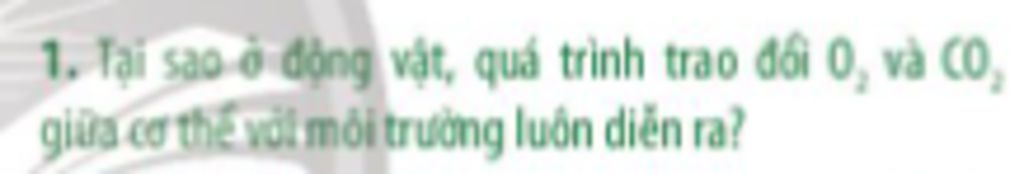 Tại sao ở động vật, quá trình trao đổi O2 và CO2 giữa cơ thể với môi ...