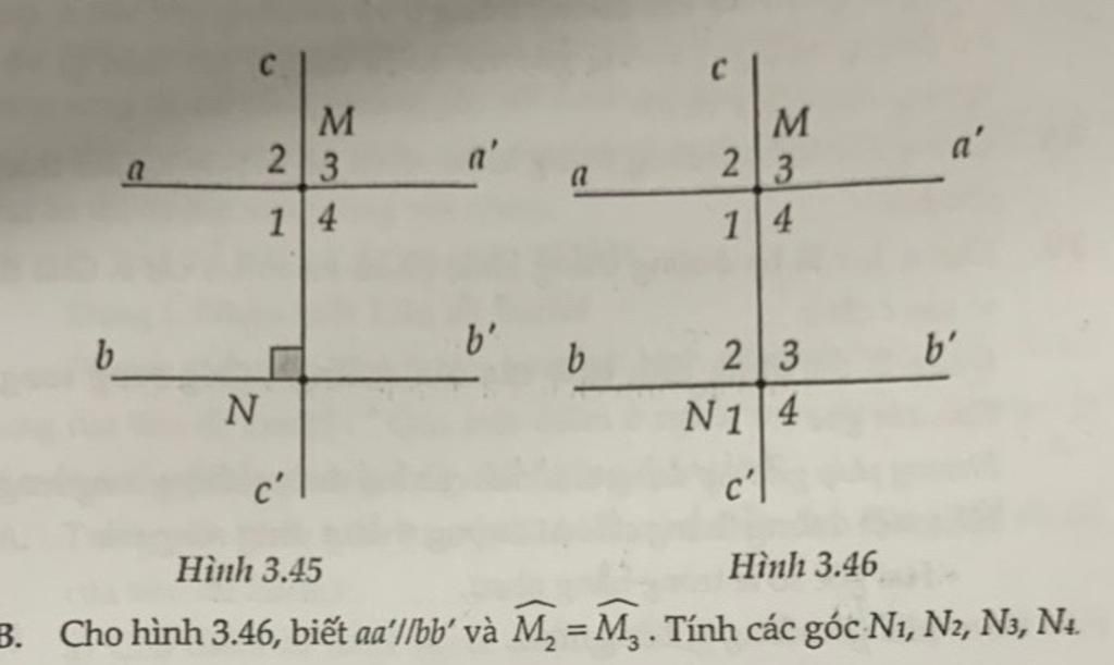 b M 23 14 N b' b M 23 14 2 3 N14 c'l b' Hình 3.45 Hình 3.46 3. Cho hình ...