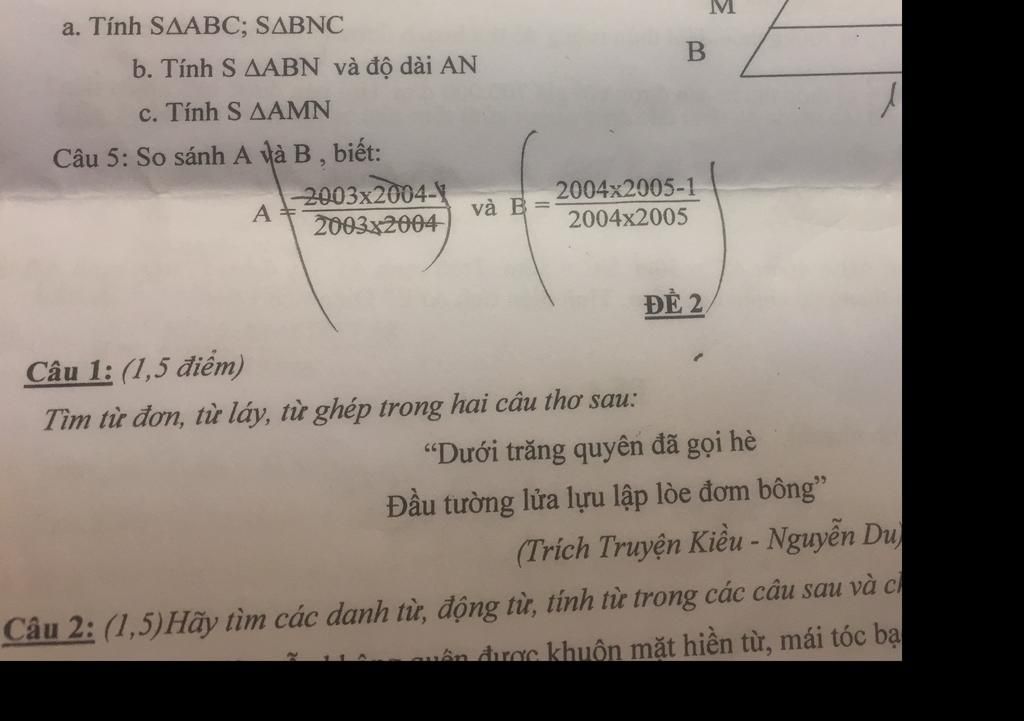 a. Tính SAABC; SABNC b. Tính S AABN và độ dài AN c. Tính S AAMN Câu 5 ...