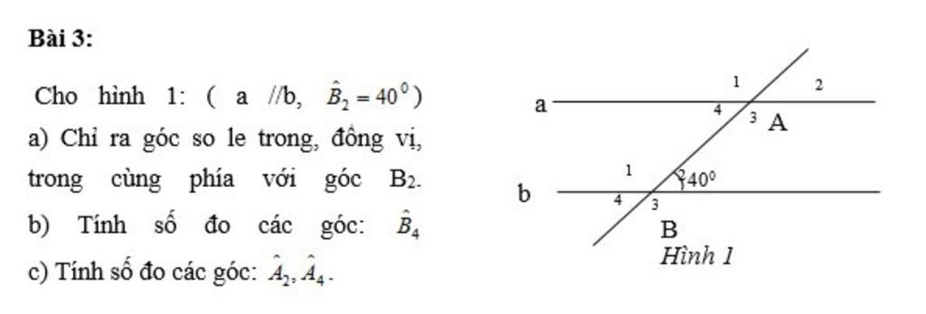 Bài 3: Cho hình 1: ( a //b, Br=40°) a) Chỉ ra góc so le trong, đông vị ...