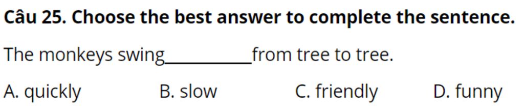 Câu 25. Choose the best answer to complete the sentence. The monkeys ...