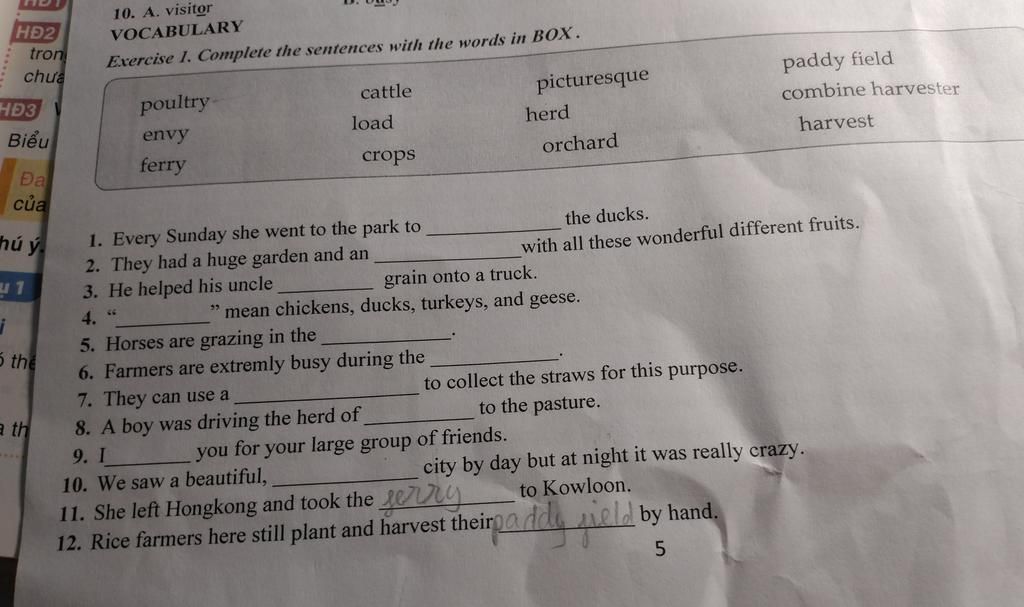 HD2 tron chua HD3 V Biểu Dal của hú ý. 1 j 5 the a th 10. A. visitor ...