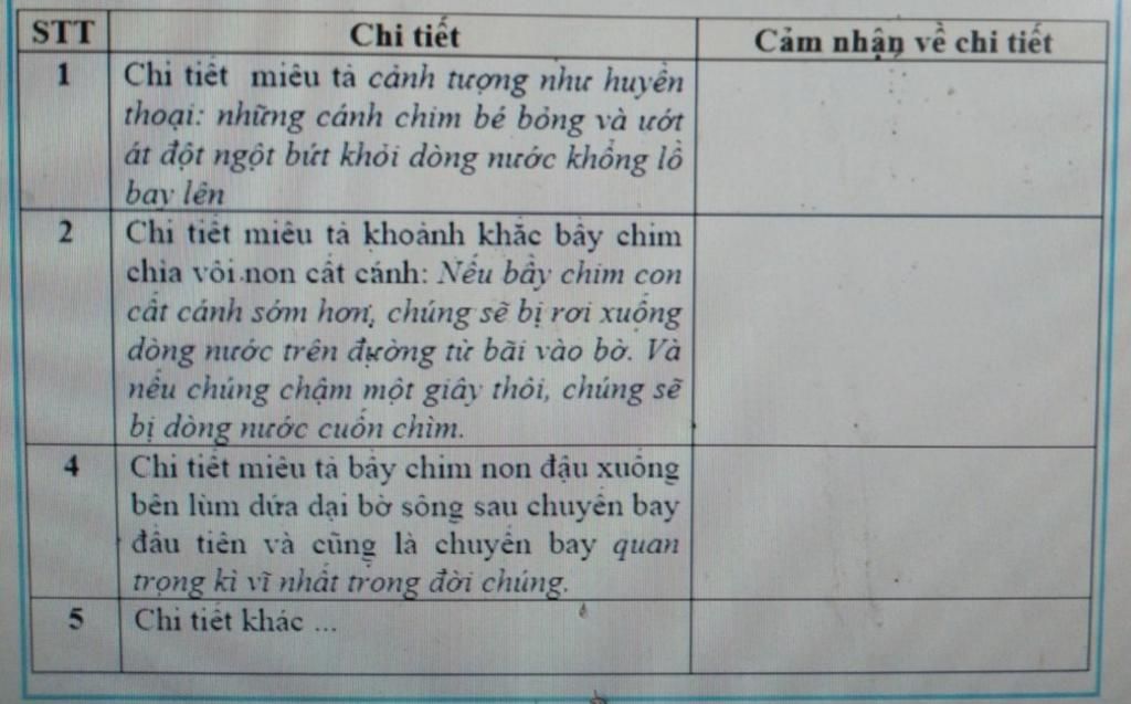 STT 1 2 4 5 Chi tiết Chi tiết miêu tả cảnh tượng như huyện thoại: những cánh chim bé bỏng và ướt ...