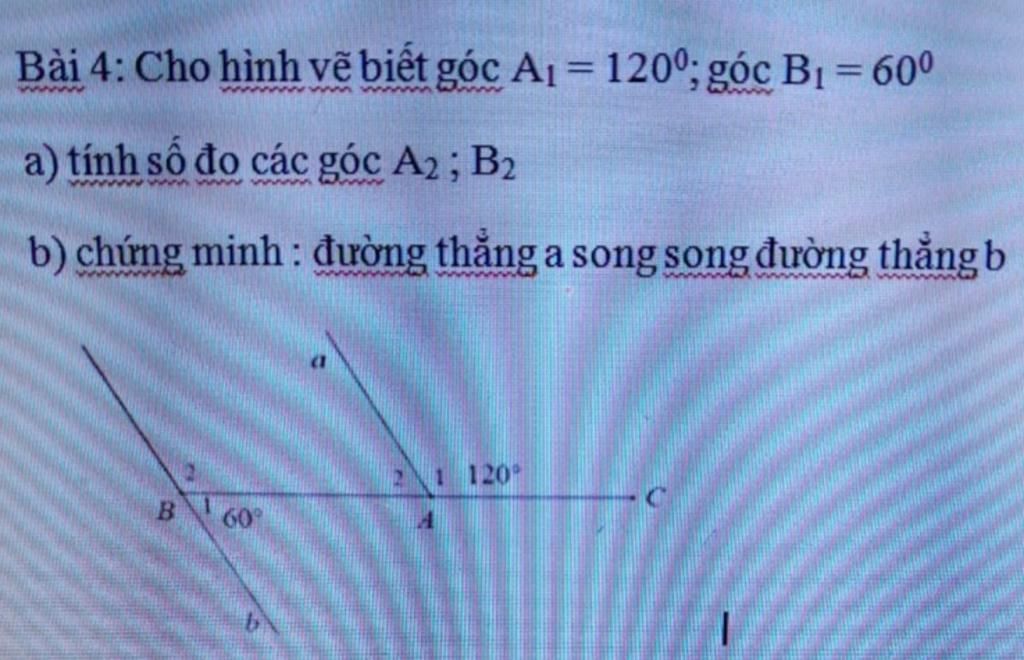 Cho hình vẽ biết góc A1 = 120 độ ; góc B1 = 60 độ a) tính số đo các góc A2 ; B2 b) chứng minh ...