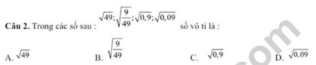 Câu 2. Trong các số sau: $\sqrt[]{49}$; $\sqrt[]{\frac{9}{49}}$; $\sqrt ...