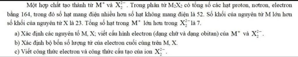 Một hợp chất tạo thành từ M' và X` . Trong phân t