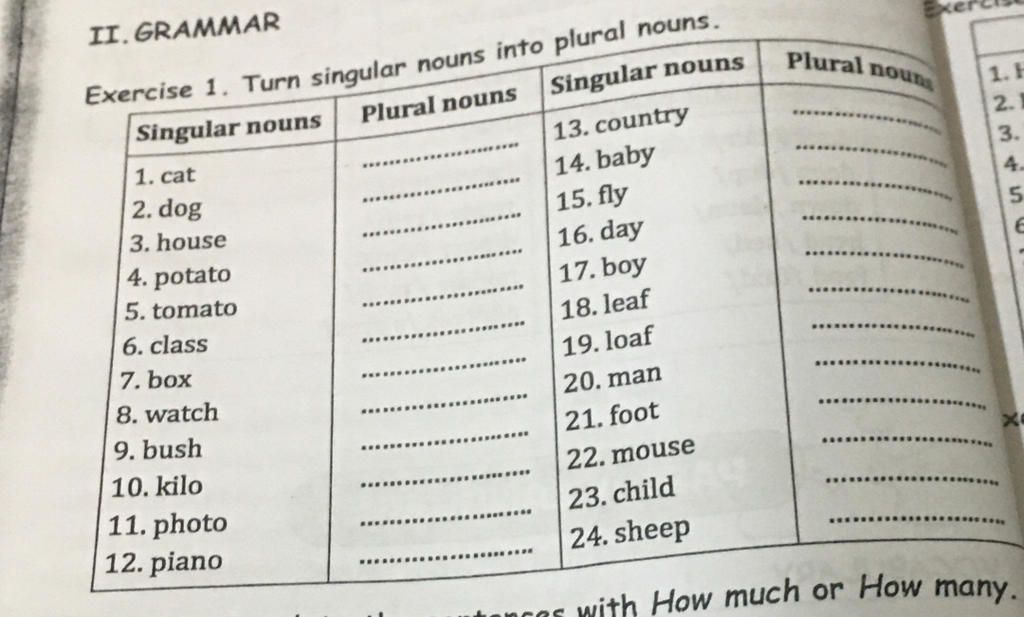 II. GRAMMAR Exercise 1. Turn singular nouns into plural nouns. Singular ...