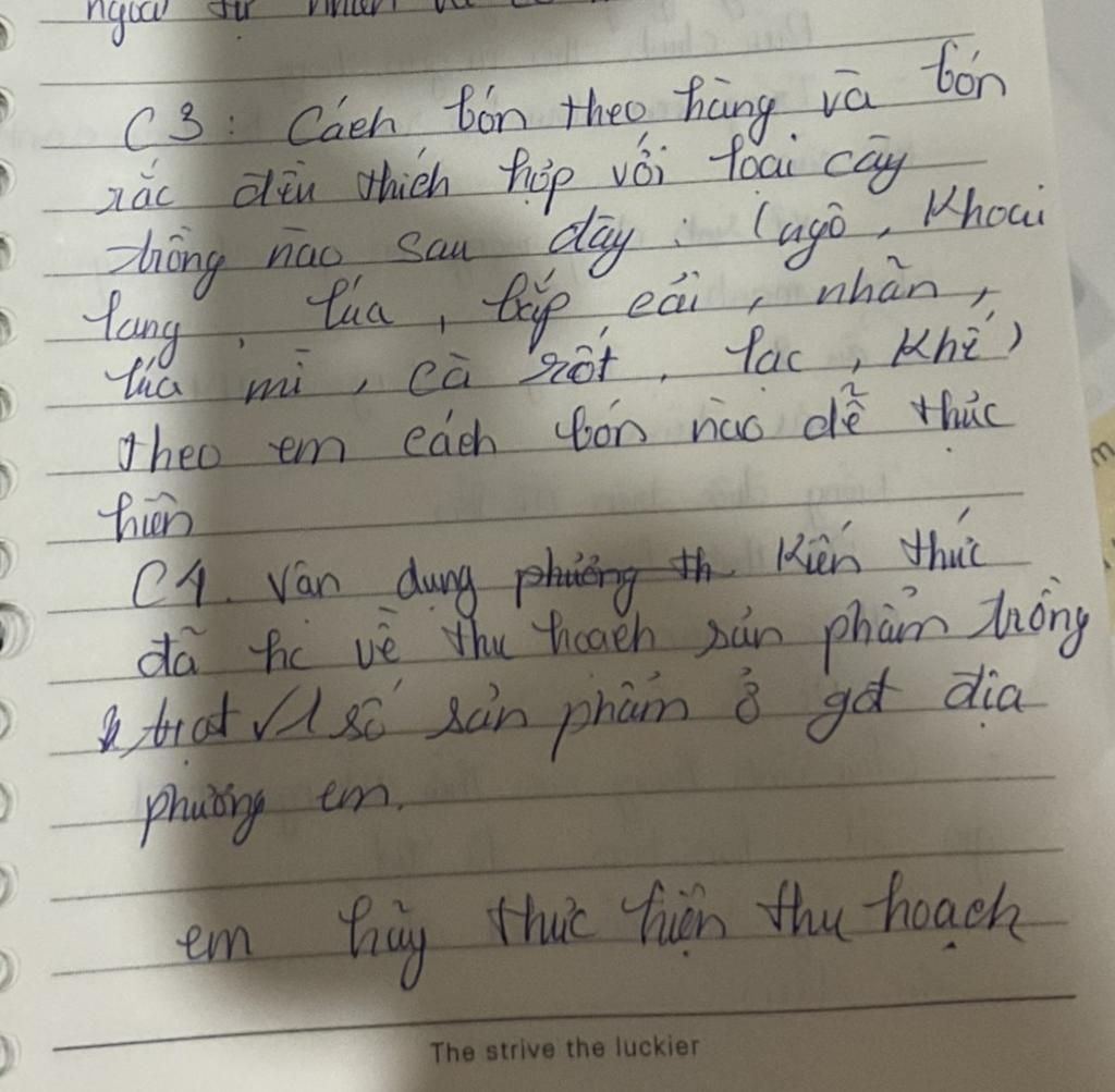 ngoa Khour C3: Cách bón theo hàng và bón rắc đều thích hợp với loại cây ...