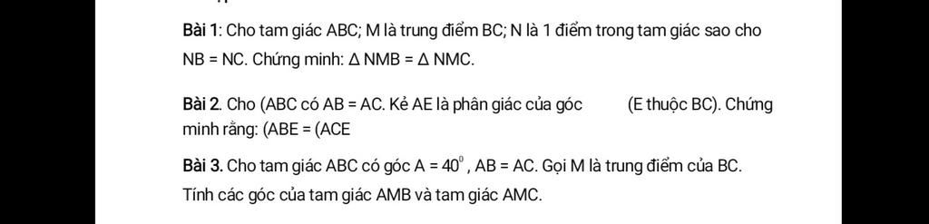 Bài 1: Cho tam giác ABC; M là trung điểm BC; N là 1 điểm trong tam giác ...