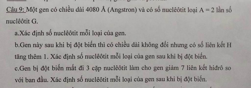 Câu 9: Một gen có chiều dài 4080 A (Angstron) và có số nuclêôtit loại A ...